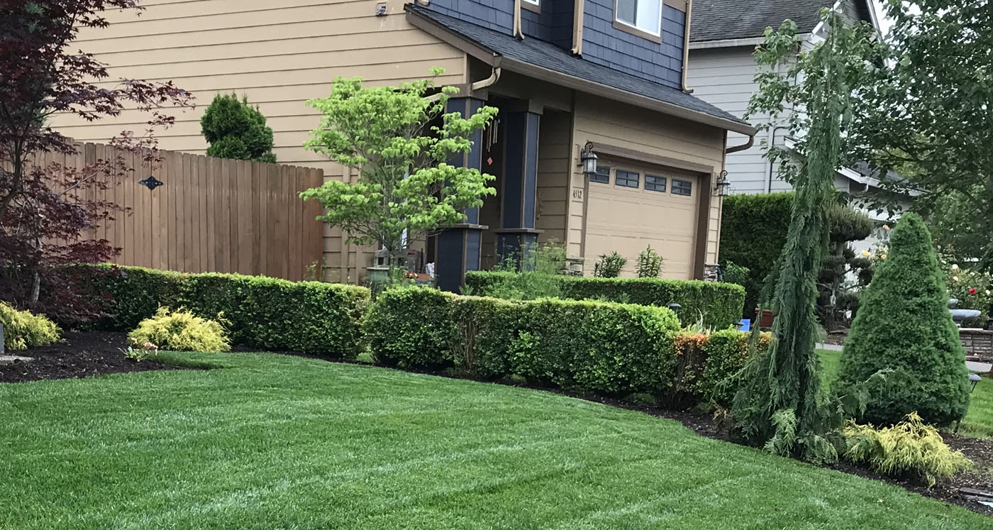 Home | New Vision Landscape Maintenance